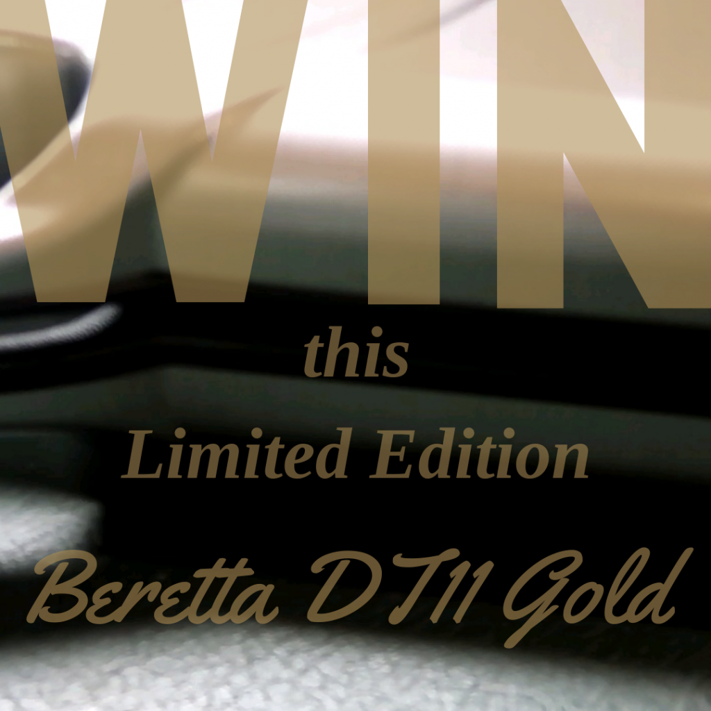 Beretta DT11 Gold - Courtlough Logo